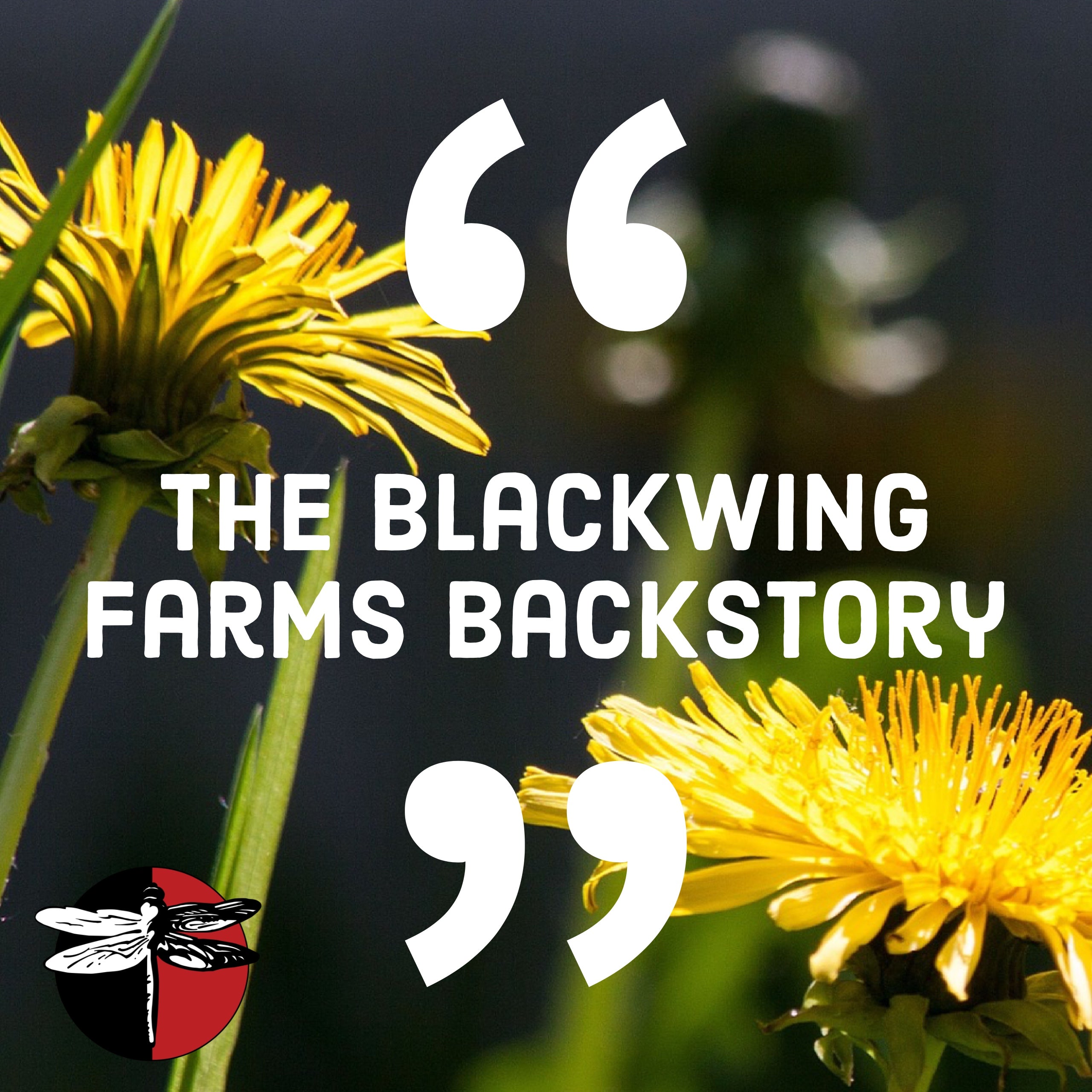 Our Backstory – BlackWing Farms